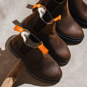 Productos – Renox Chile